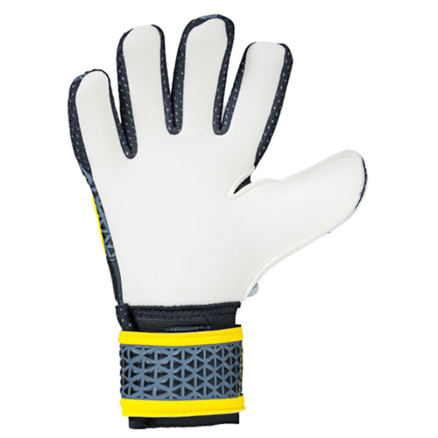 Kemari87 KISHISPO / イニシャル アリーナ ジャパン 515167